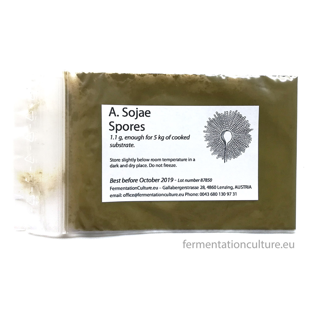 Aspergillus Sojae Spores - fermentationculture.eu